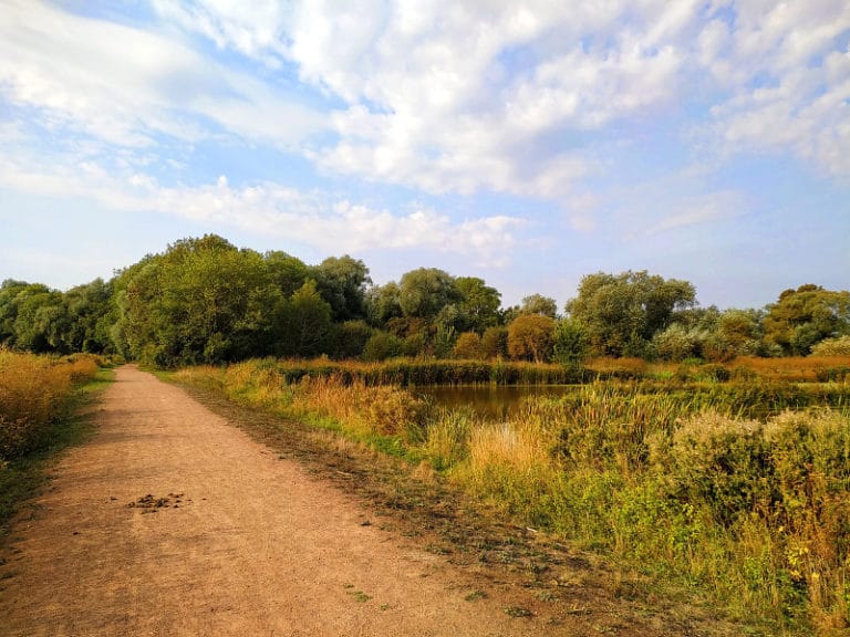 A Harnes, le lagunage et le Bois de Florimond, écrin de verdure