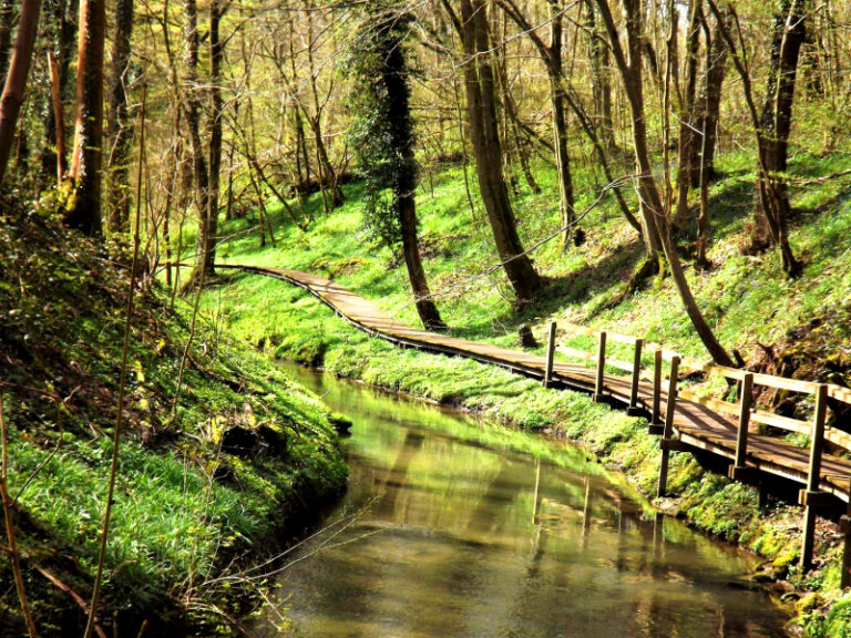 Promenade dans le bois Louis et d'Epenin